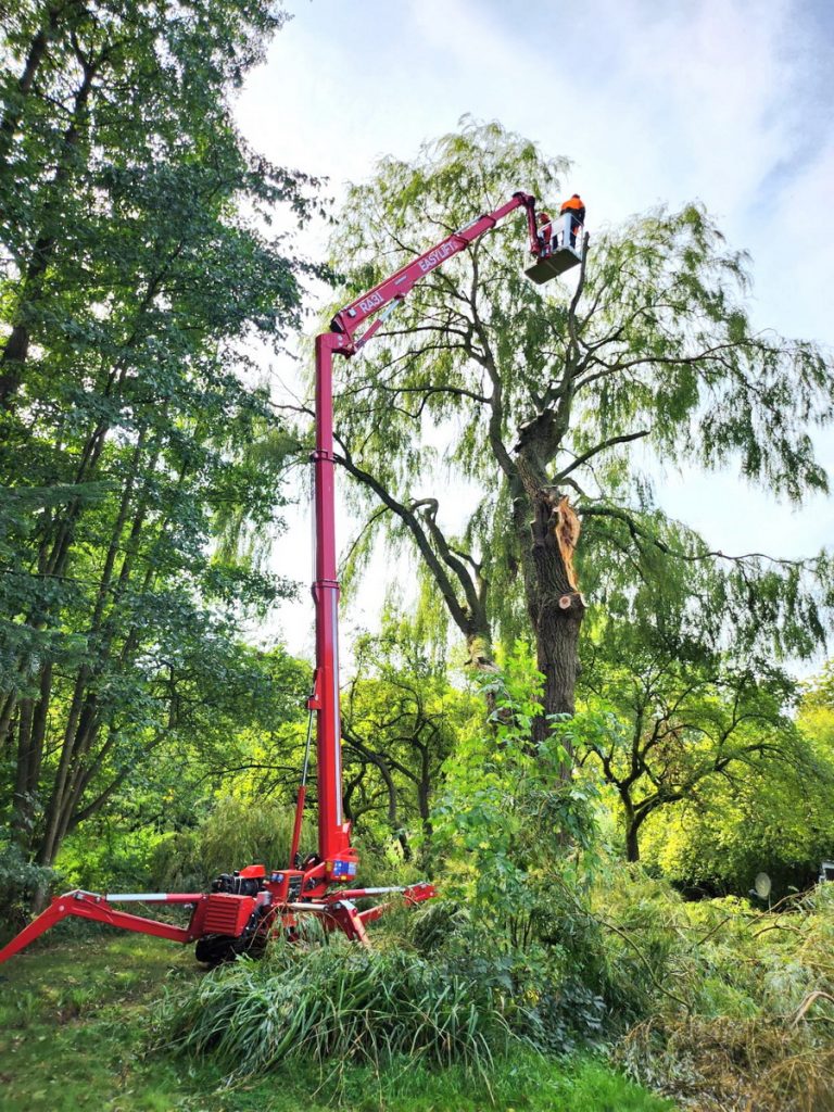 30 meter spider lift for tree cutter Wilkens - Rothlehner Arbeitsbühnen